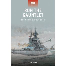 Run the Gauntlet (RAID SERIES)